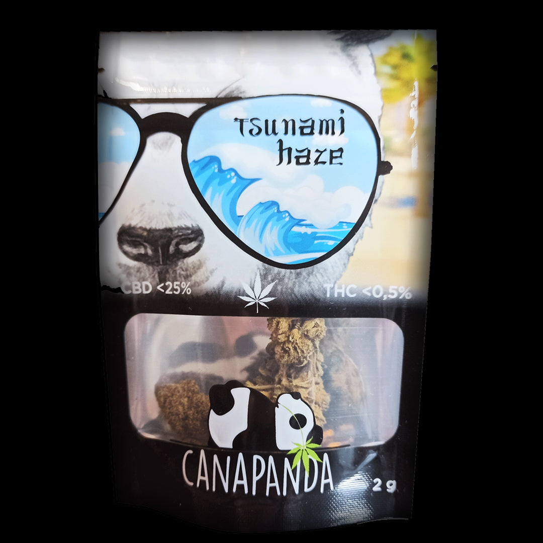 TSUNAMI HAZE – Canapanda